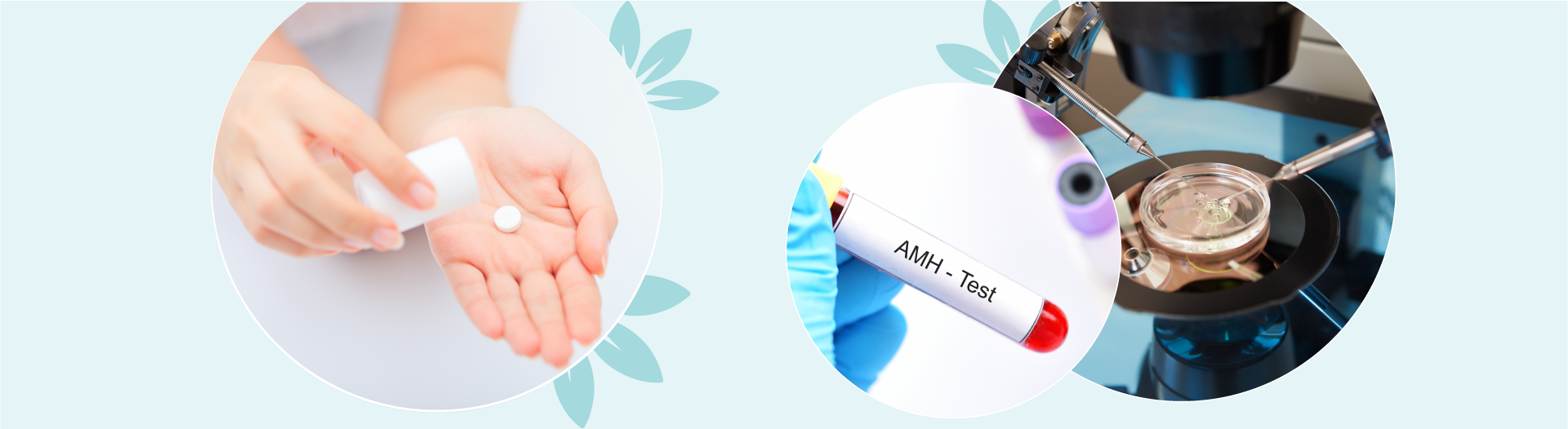 Invocell Fertility Treatment is an alternative to IVF - Tree of Life Center